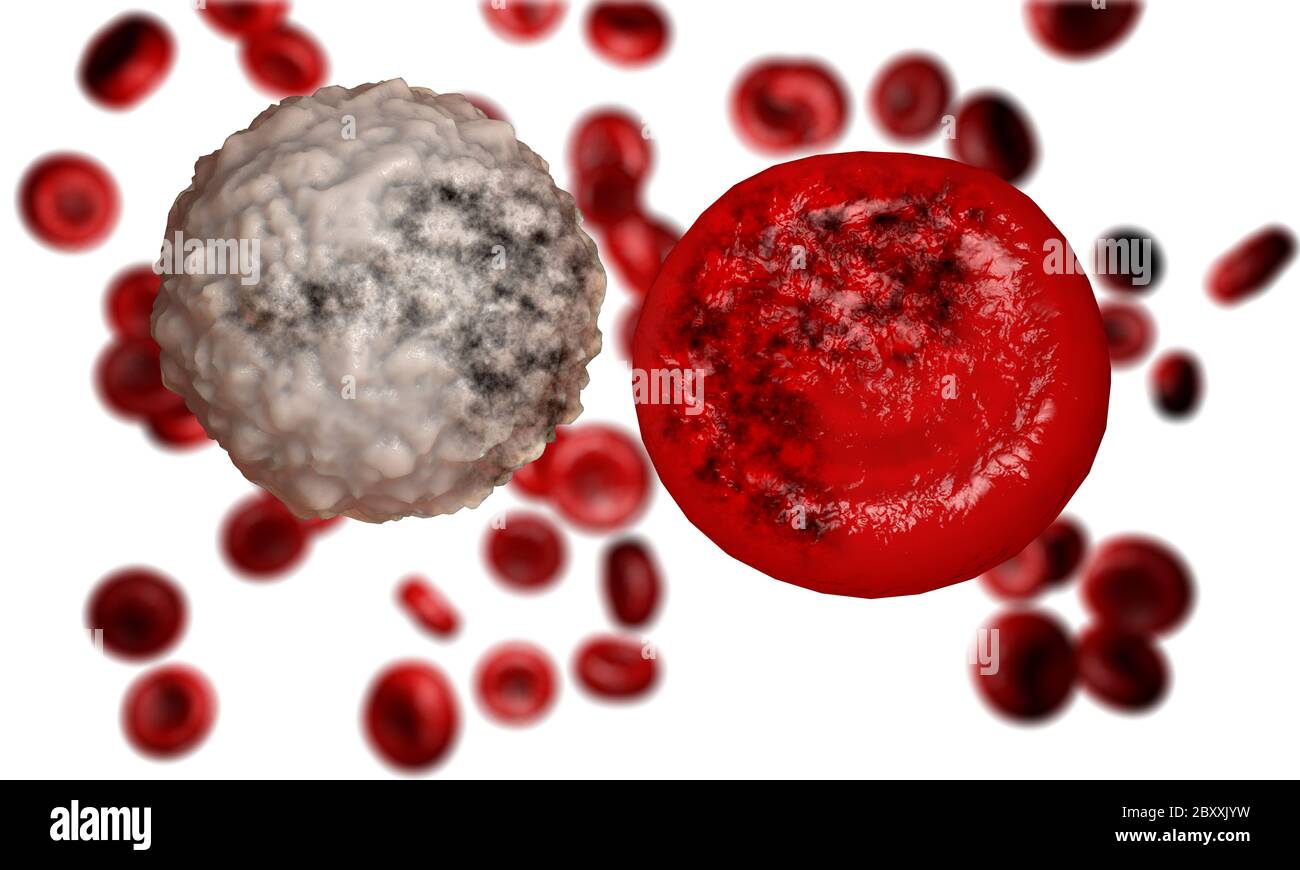 damaged, sick red blood cell. disease concept Stock Photo - Alamy