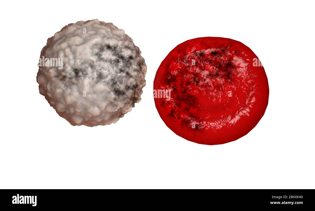 damaged, sick red blood cell. disease concept Stock Photo - Alamy
