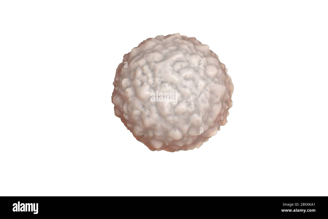 Leucocyte hi-res stock photography and images - Alamy