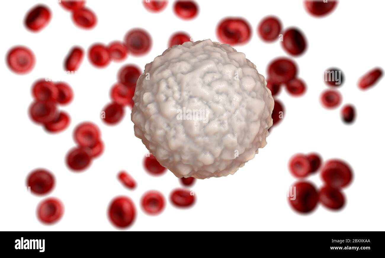 white blood cell, leucocyte. 3d render Stock Photo - Alamy