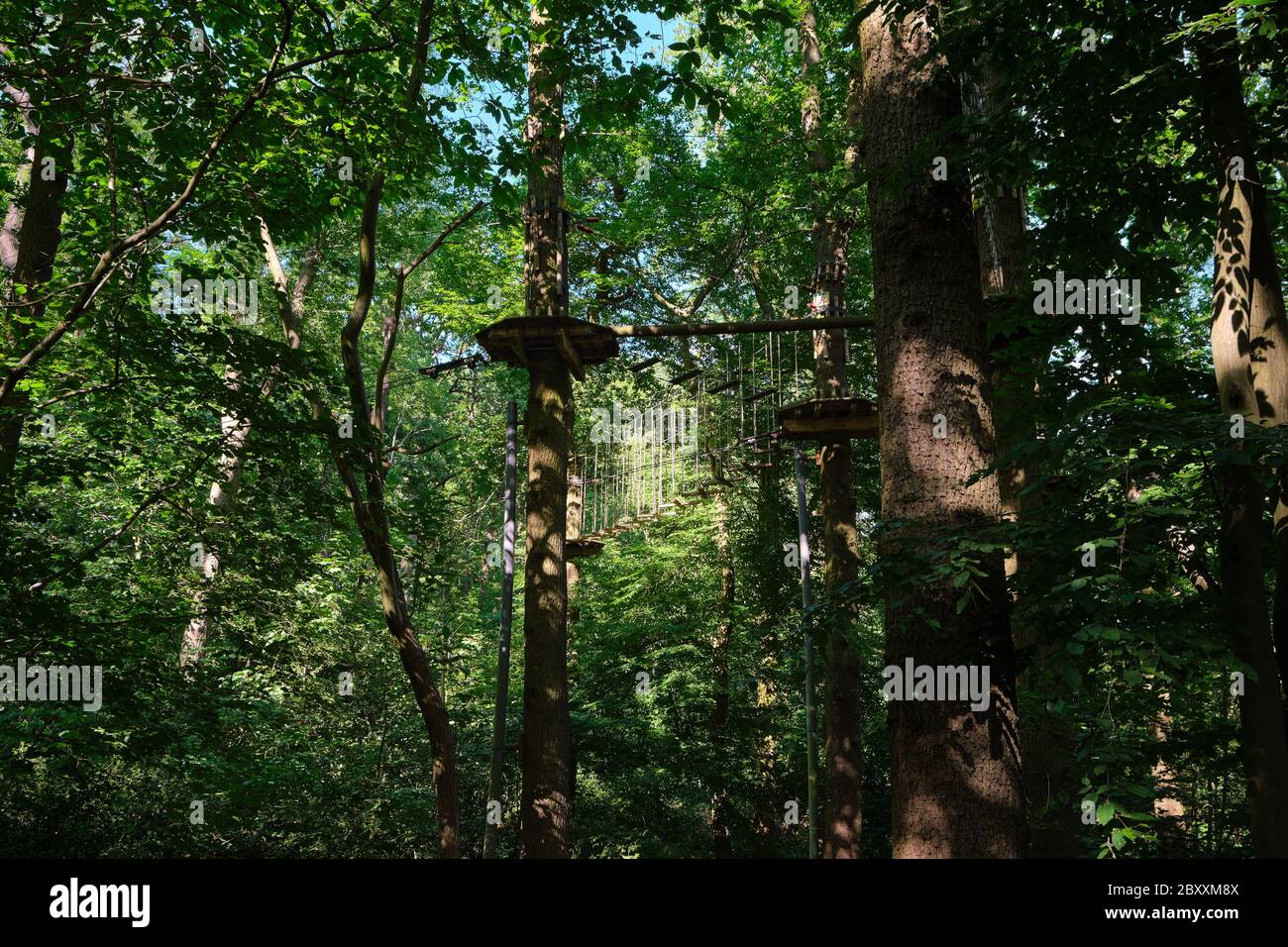 Treetop adventure park with rope course in Trent Park, Cockfosters ...