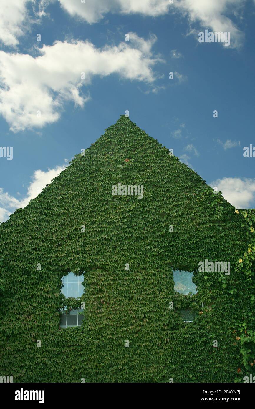 Building covered with plants hi-res stock photography and images - Alamy