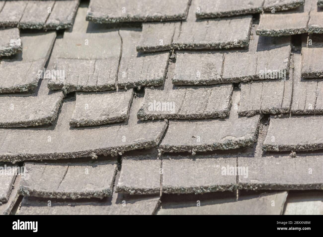 Wind and rain damaged old wood shingle / wood shake roof in poor repair ...