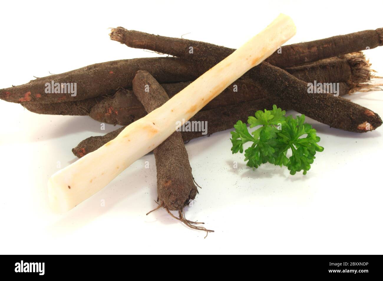 Salsify hi-res stock photography and images - Alamy