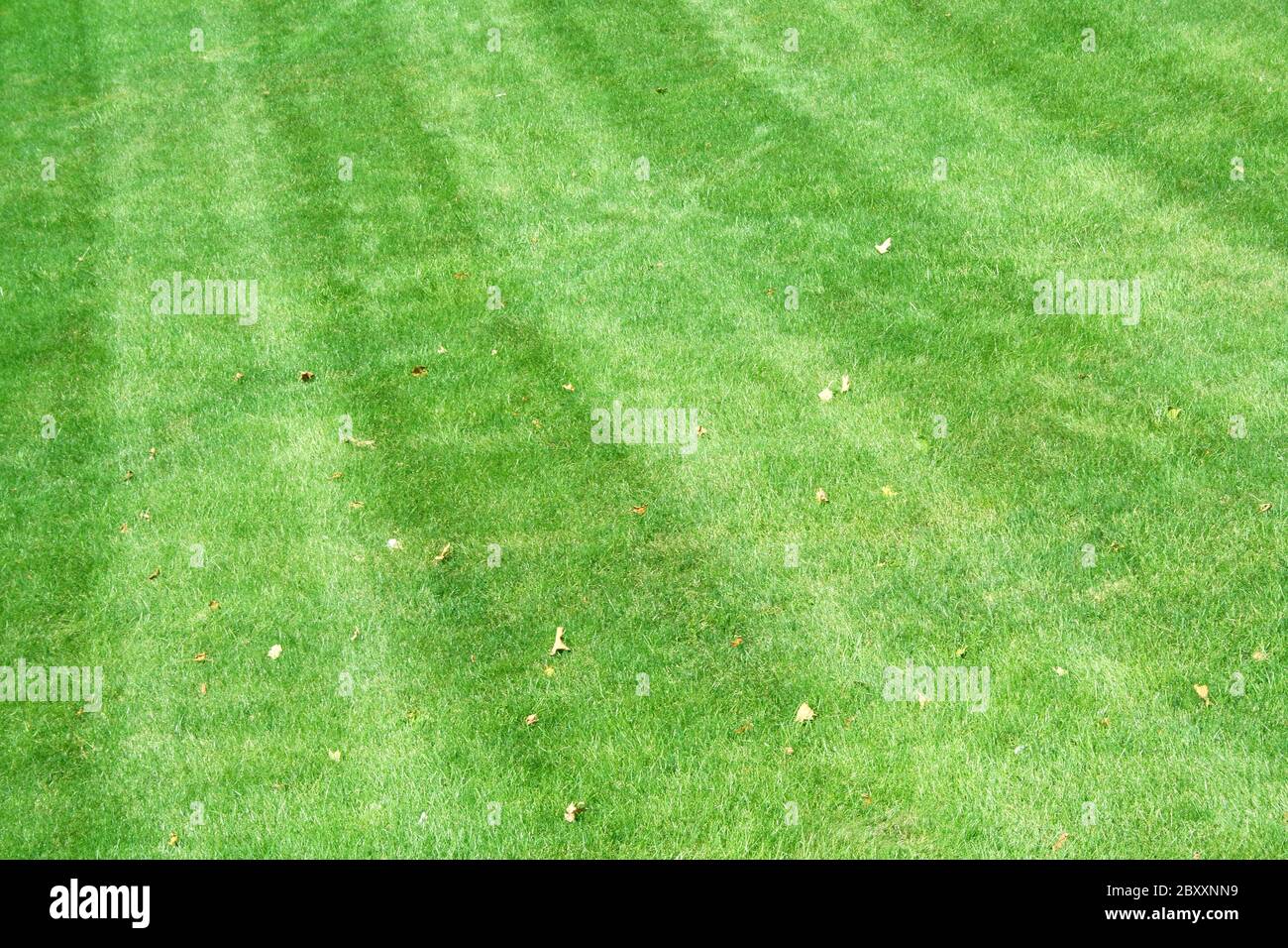 Mower lines hi-res stock photography and images - Alamy