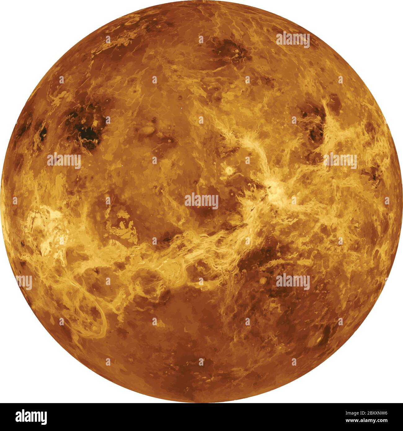 Planet Venus isolated on white background. Realistic vector Stock ...