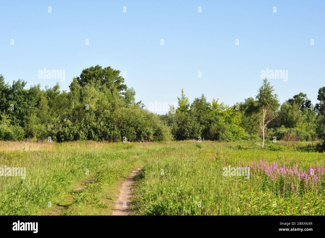Russian farm life hi-res stock photography and images - Alamy