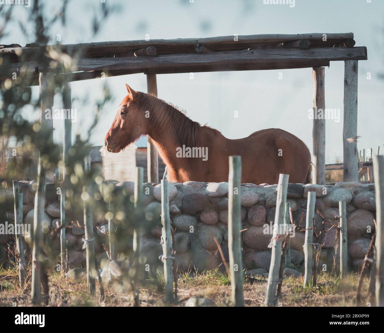 Golden corral hi-res stock photography and images - Alamy