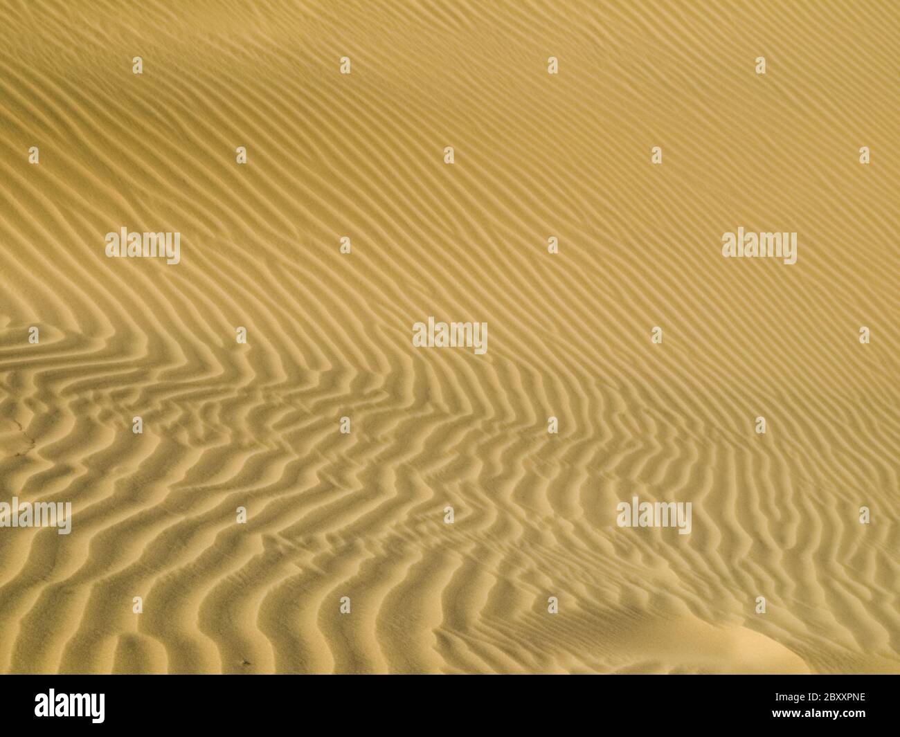 Dune texture hi-res stock photography and images - Alamy