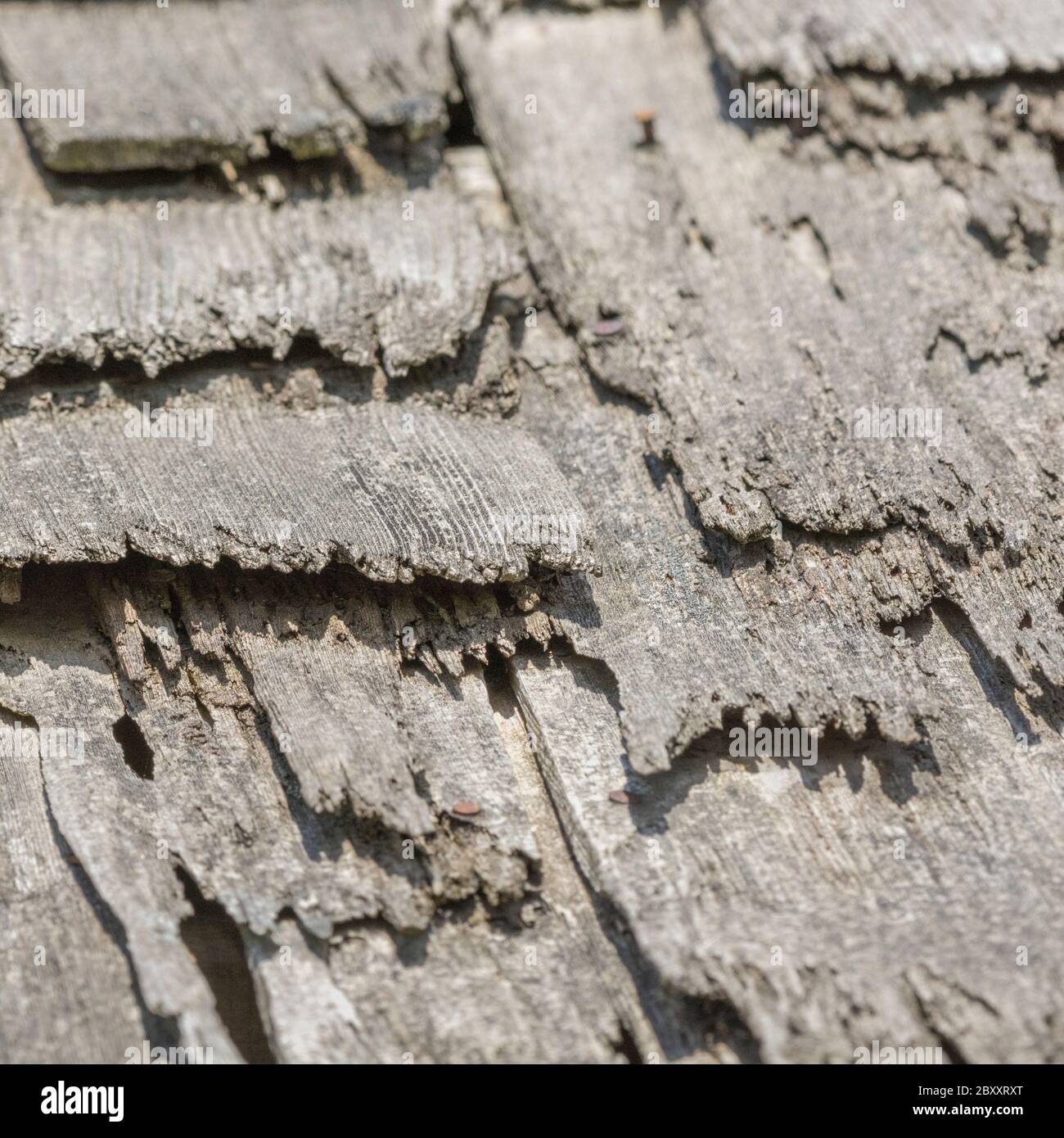 Leaky wood hi-res stock photography and images - Alamy