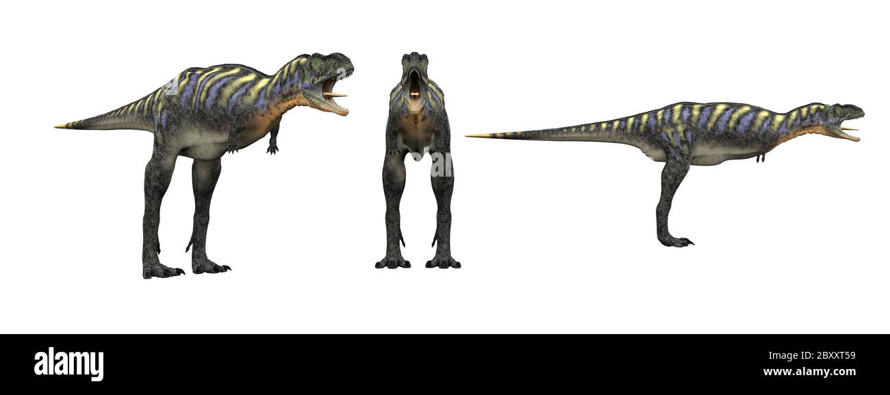 Aucasaurus. Dinosaur isolate on white Stock Photo - Alamy