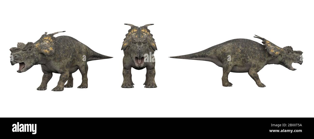 Achelousaurus hi-res stock photography and images - Alamy