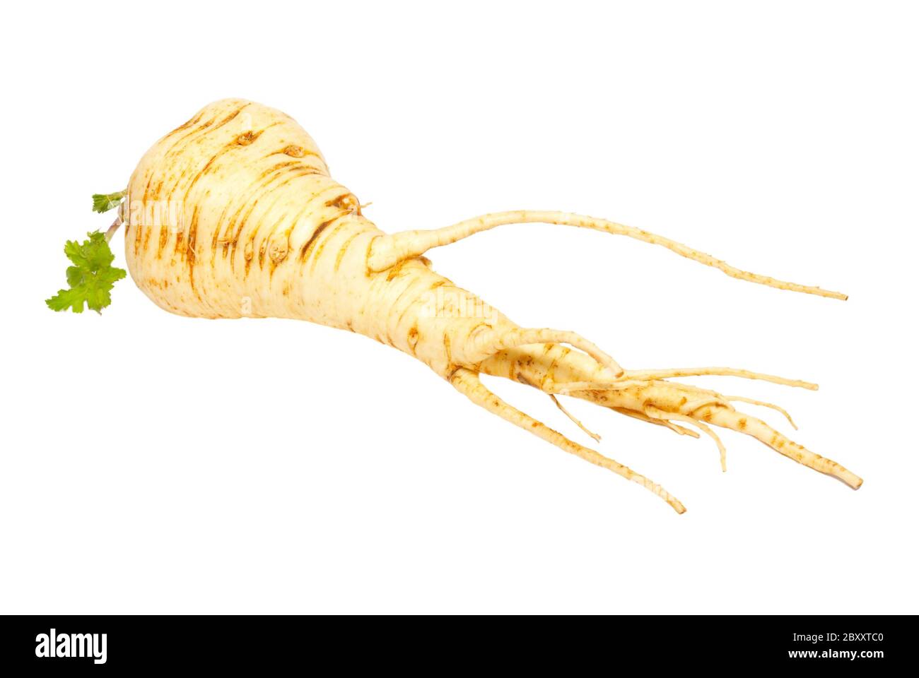 Parsnip isolated on white Stock Photo - Alamy