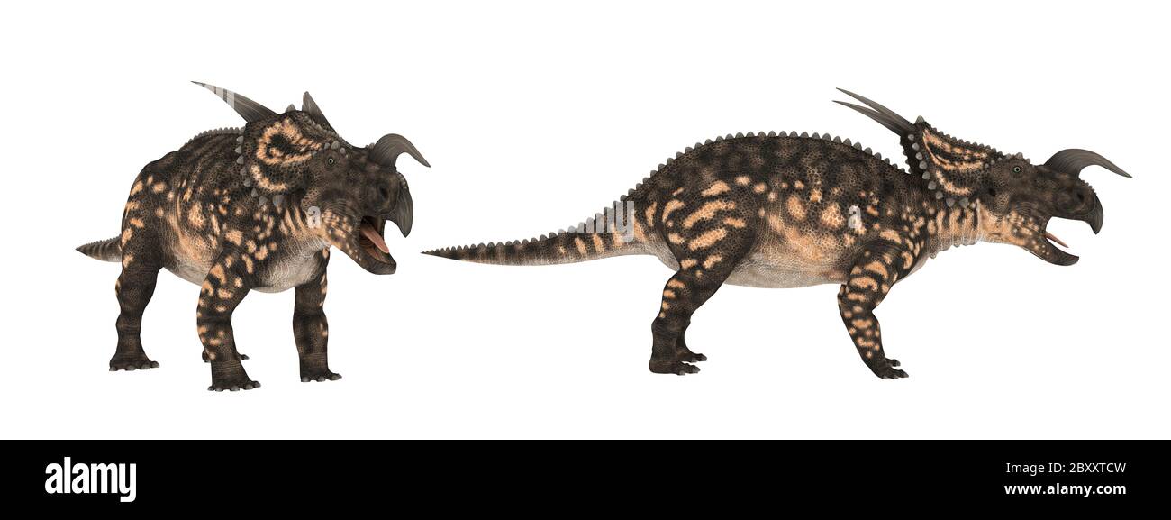 Einiosaurus. Dinosaur isolate on white Stock Photo - Alamy