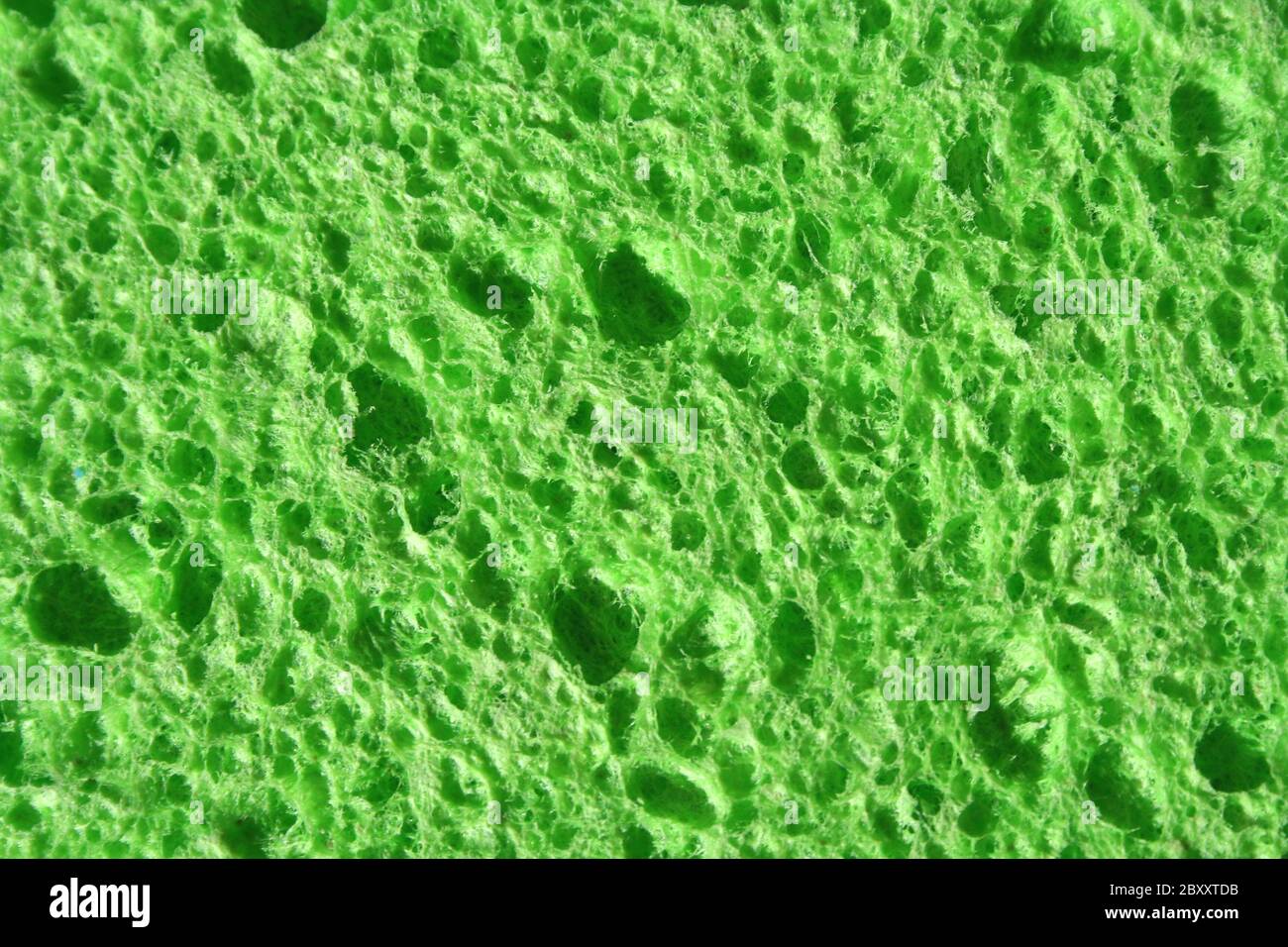 Green washing up sponge hi-res stock photography and images - Alamy