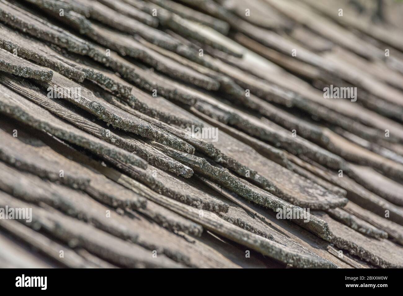 Wind and rain damaged old wood shingle / wood shake roof in poor repair ...