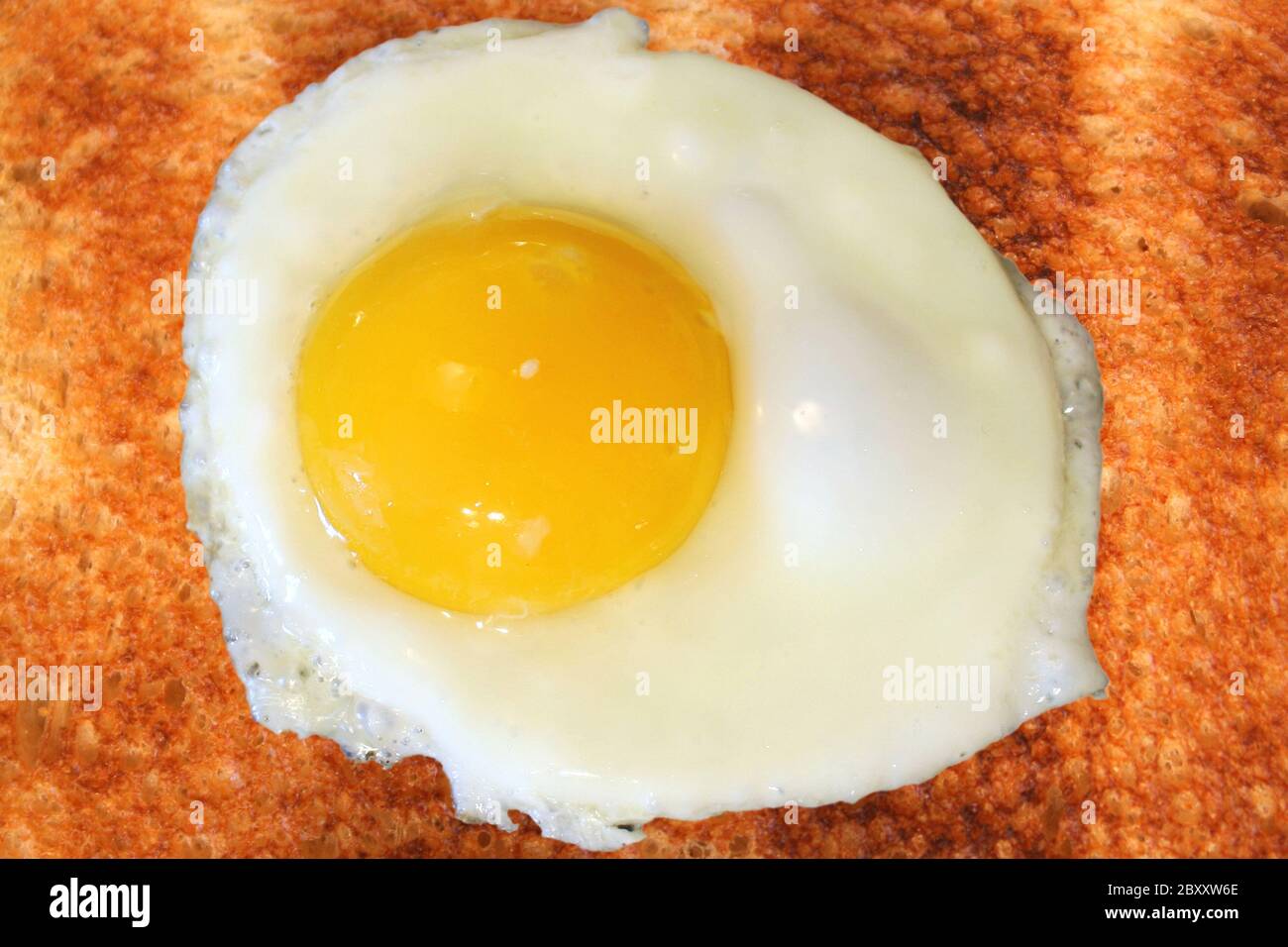 Toast with egg sunny side up Stock Photo - Alamy