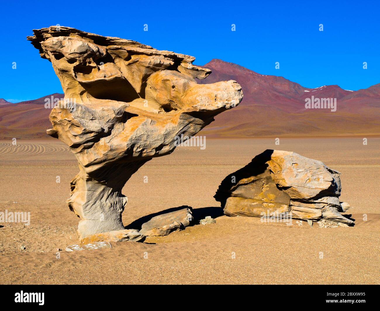 Stone tree rock formation in desert landscape of Altiplano with blue ...