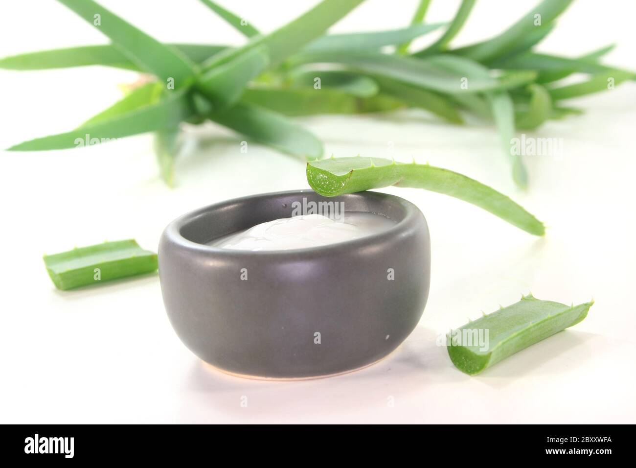 Aloe Vera lotion Stock Photo - Alamy