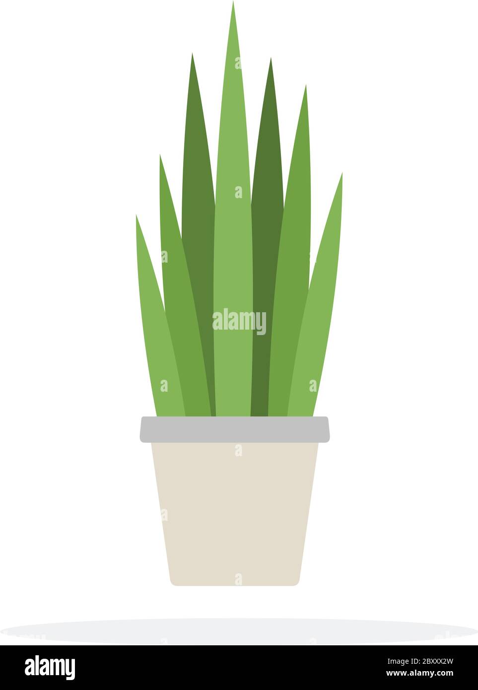 Large pot plant isolated Stock Vector Images - Alamy