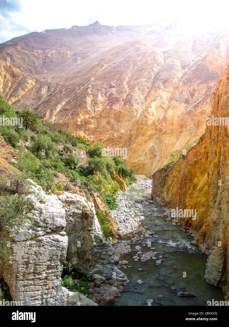 Wild Colca River on the bottom of Colca Canyon in Peru Stock Photo - Alamy
