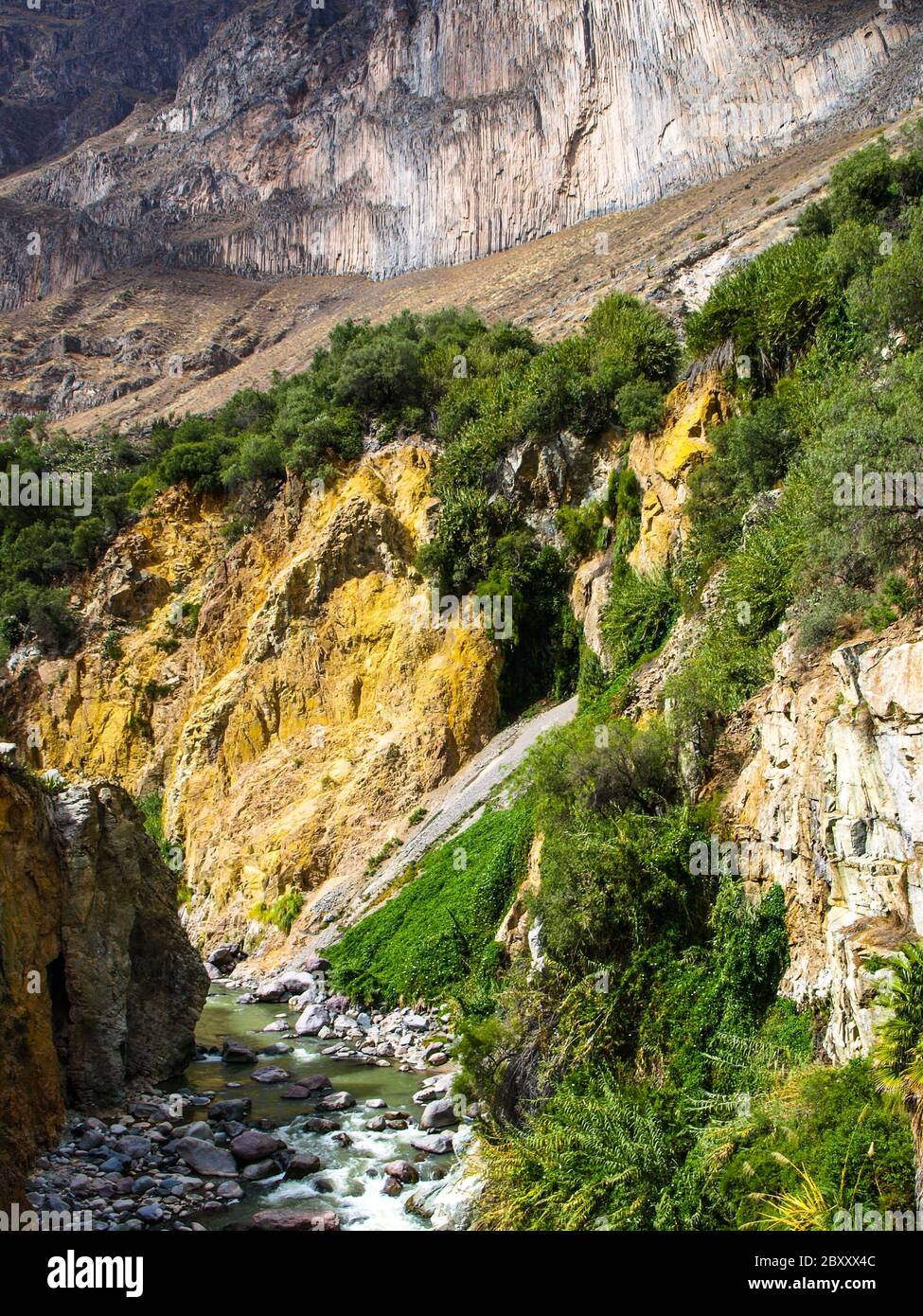 Wild Colca River on the bottom of Colca Canyon in Peru Stock Photo - Alamy