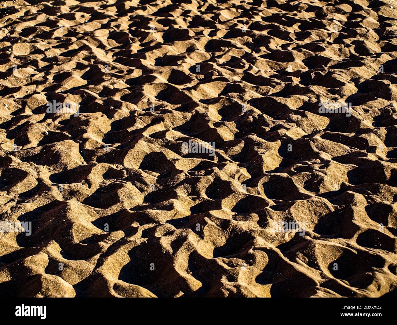 Sand beach brown sea beach sandy sun contrast texture surface hi-res ...