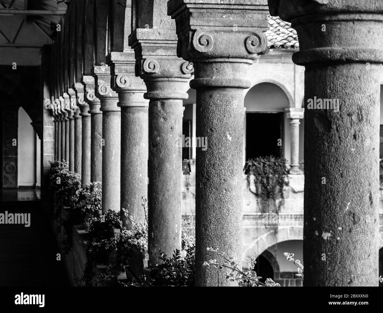 Stone columns detail in black and white hi-res stock photography and images - Alamy