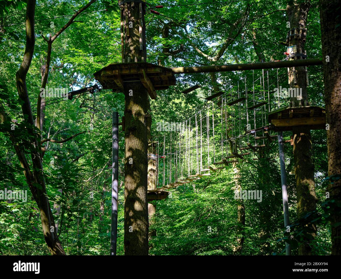 Treetop adventure hi-res stock photography and images - Alamy