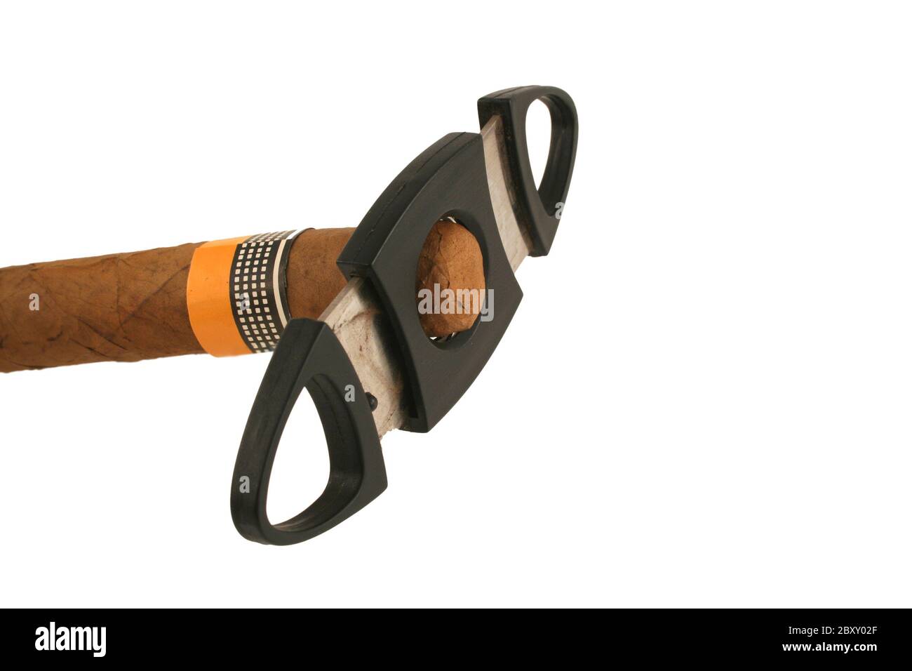 White cutter hi-res stock photography and images - Alamy