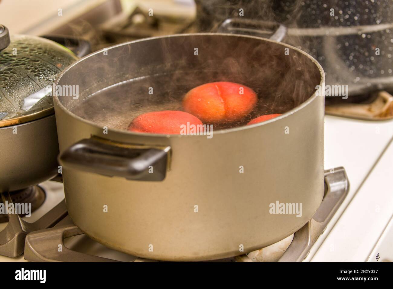 Peaches in a pot of boiling water that are being blanched for 30 to 60 ...