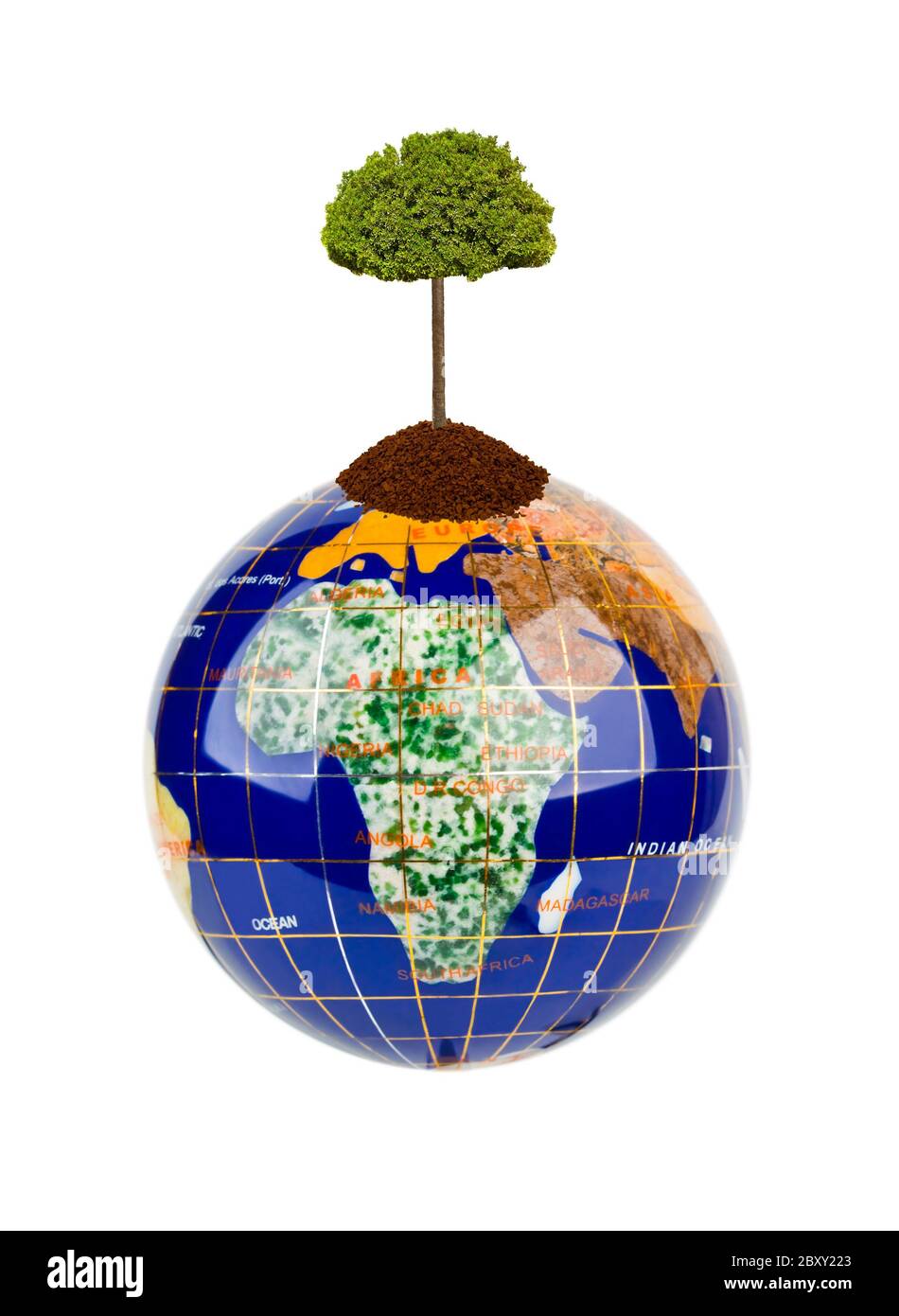 World tree of life Cut Out Stock Images & Pictures - Alamy