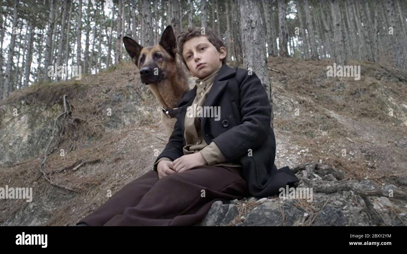 SHEPHERD: THE STORY OF A JEWISH DOG, August Maturo, 2019. © Glass Half ...