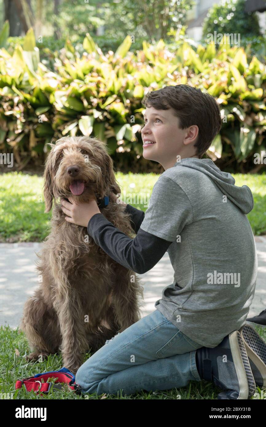 THINK LIKE A DOG, Gabriel Bateman, 2020. ph: Sam Lothridge ...