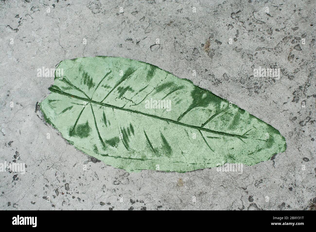 Leaf in cement hi-res stock photography and images - Alamy