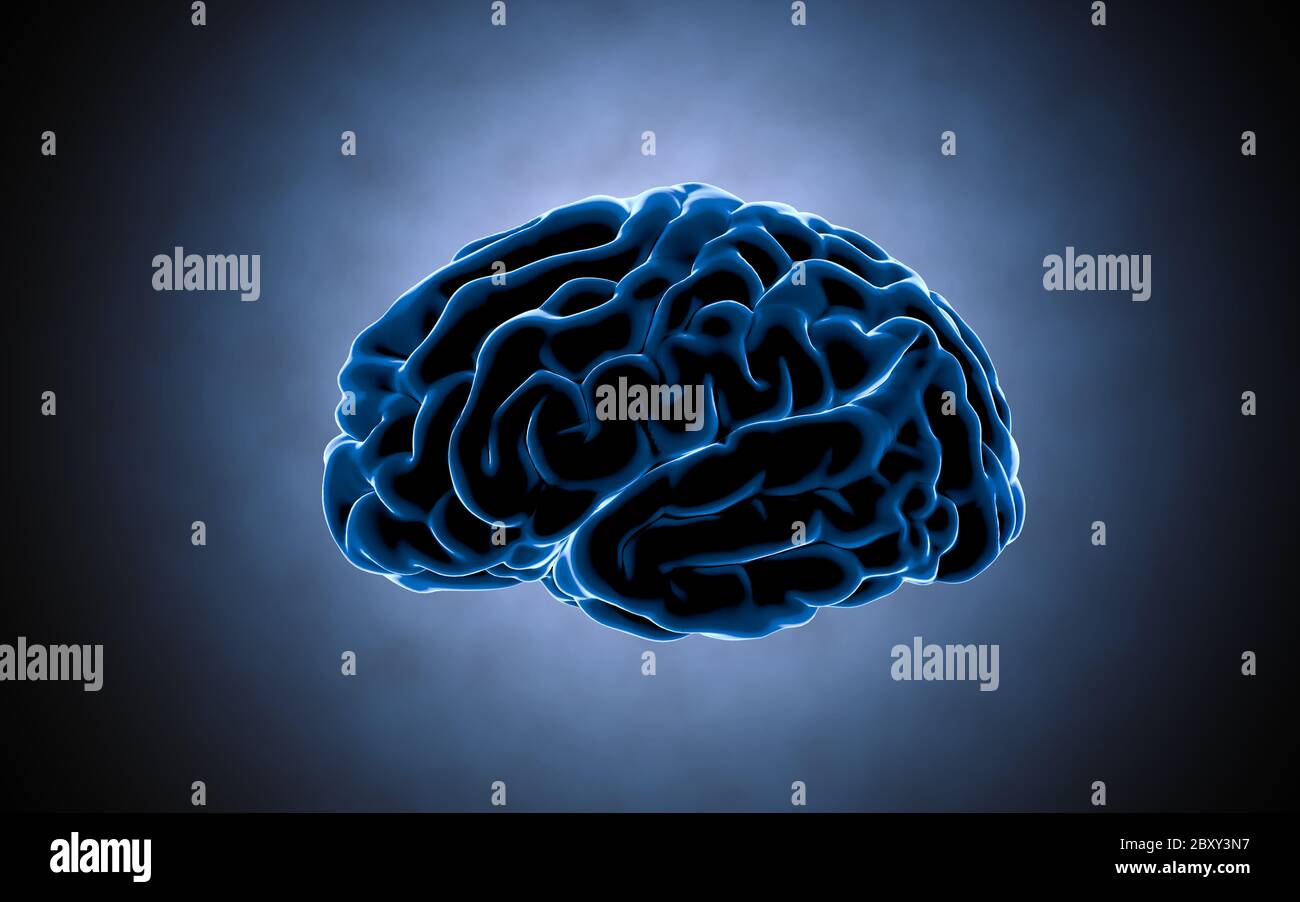 Brain impulses. Neuron system. Human anatomy. transferring pulses and ...