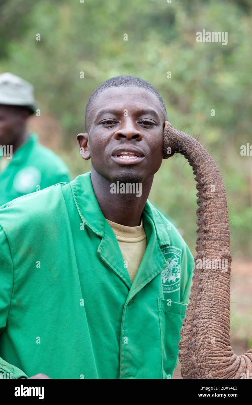 Sheldrick Wildlife Trust Nairobi Kenya Stock Photo - Alamy