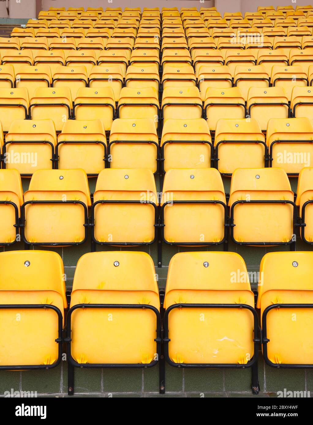 seats in stadium Stock Photo - Alamy
