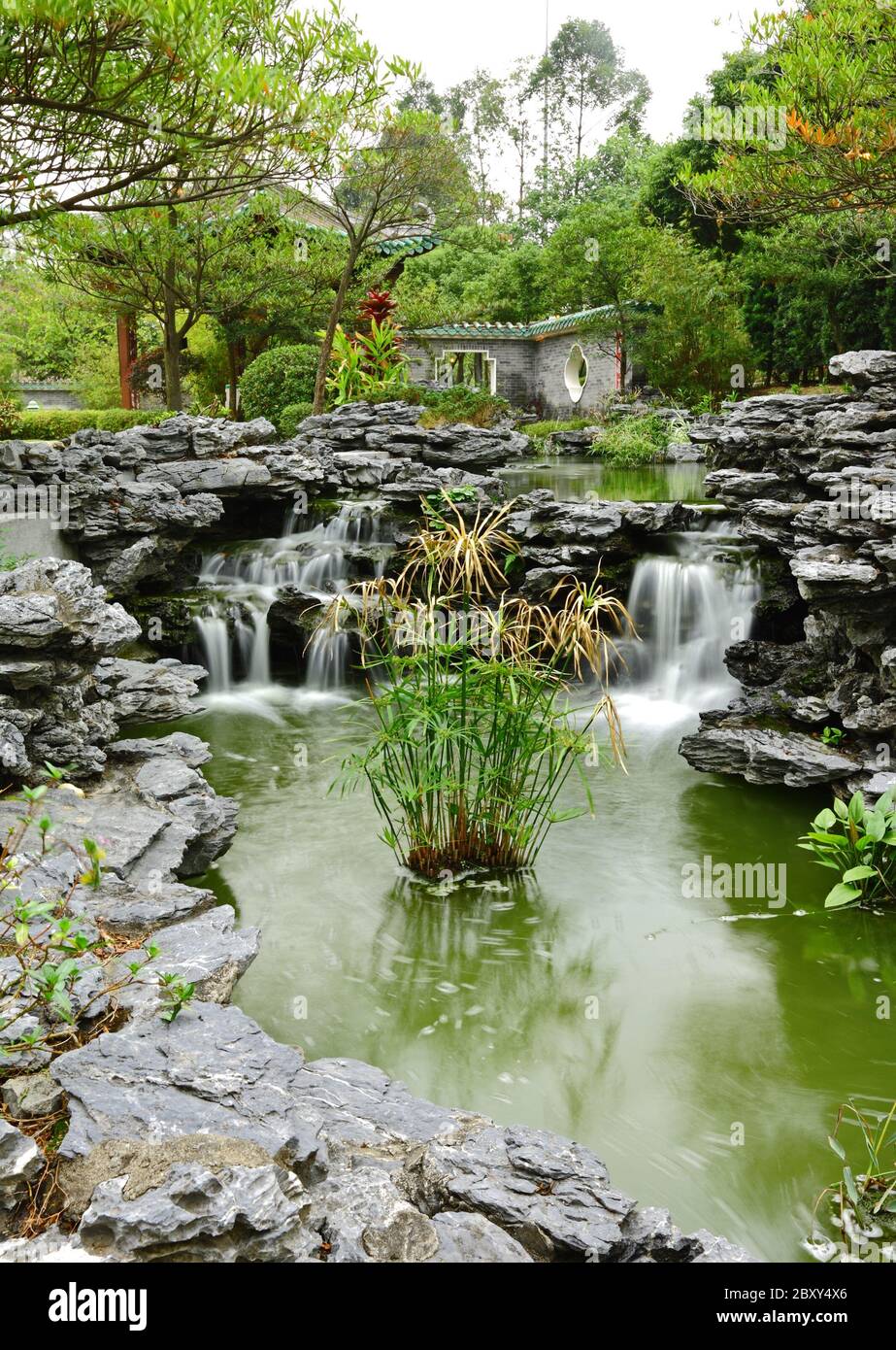 Chinese willow trees hi-res stock photography and images - Alamy