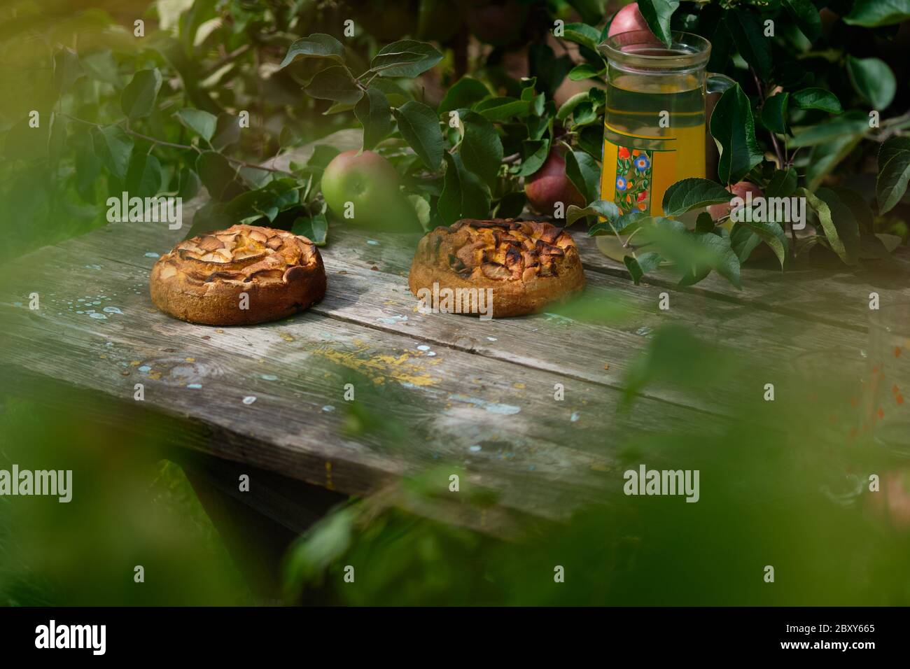 Apple pies on an old wooden table under an apple tree in a village ...