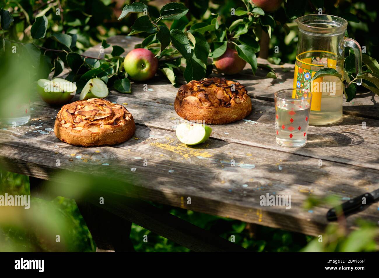 Apple pies on an old wooden table under an apple tree in a village ...