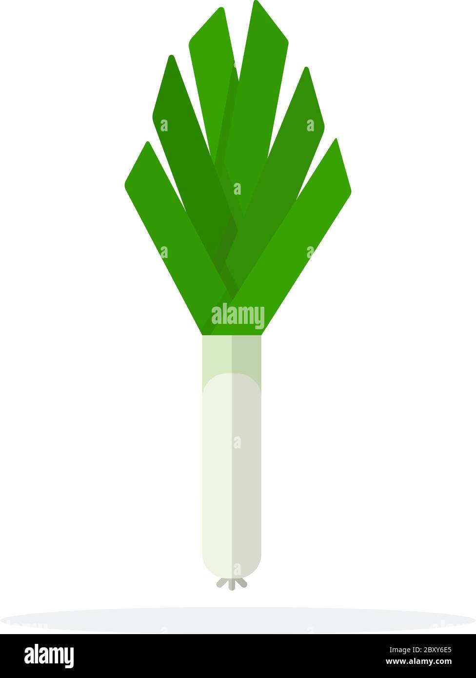 Leek vector flat isolated Stock Vector Image & Art - Alamy