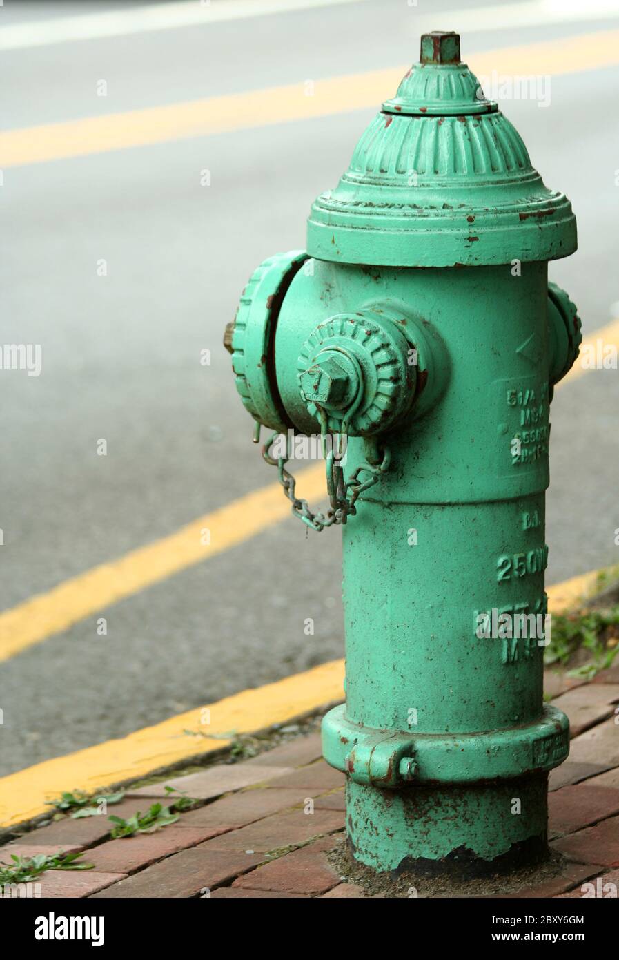 Green fire hydrant hi-res stock photography and images - Alamy