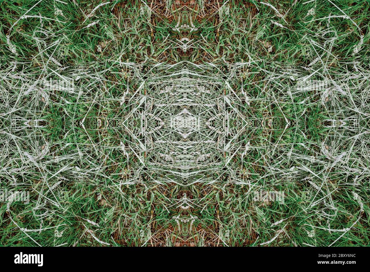 Flower and Tree abstract backgrounds Stock Photo - Alamy