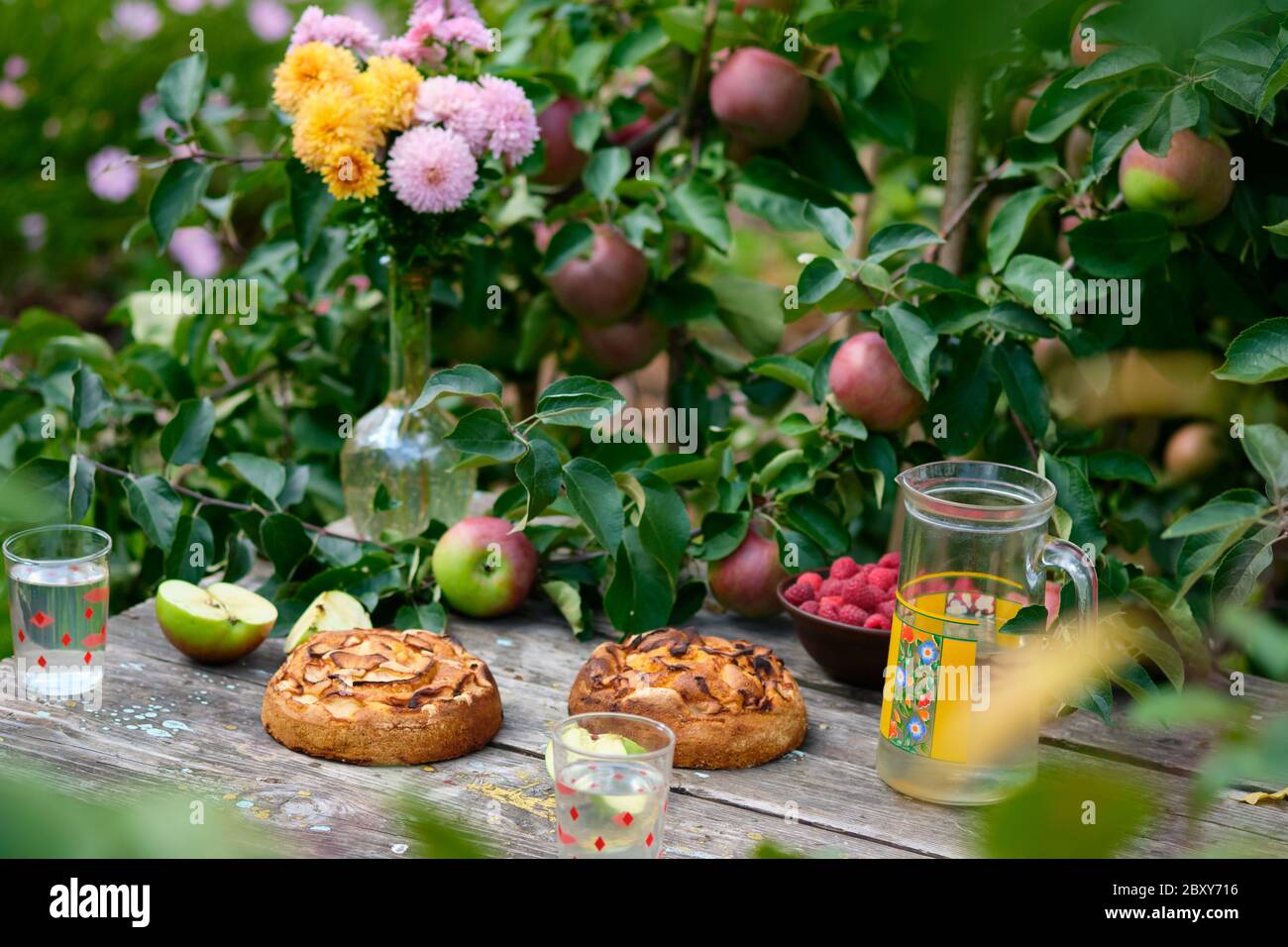 Apple pies on an old wooden table under an apple tree in a village ...