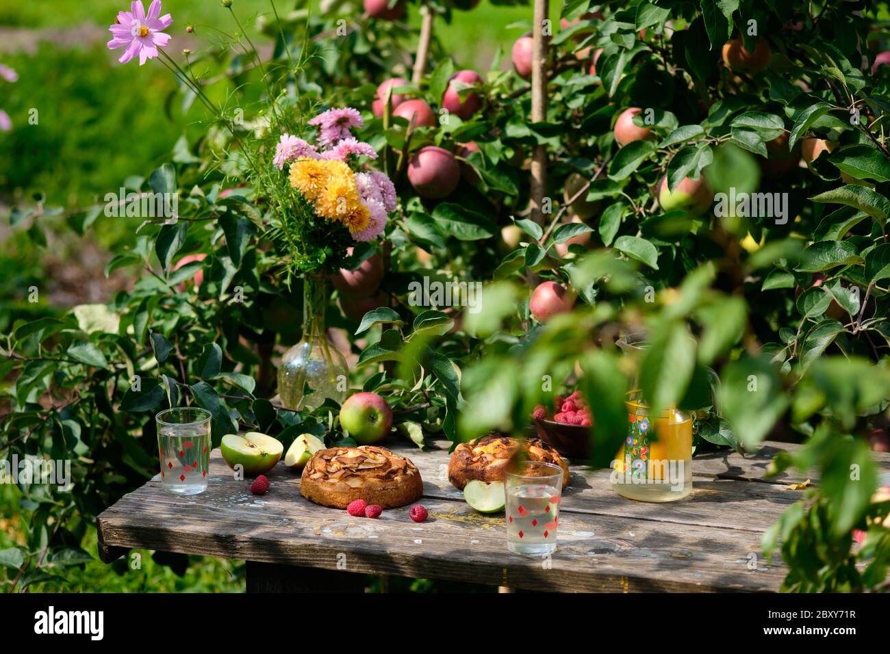Apple pies on an old wooden table under an apple tree in a village ...