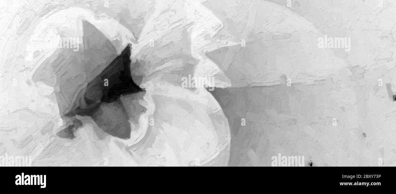 Black and white inverted space butterfly watercolor abstract widescreen ...