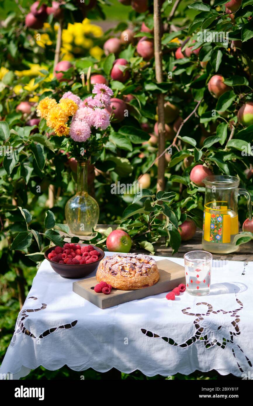 Apple pie on an old wooden table under an apple tree in a village ...