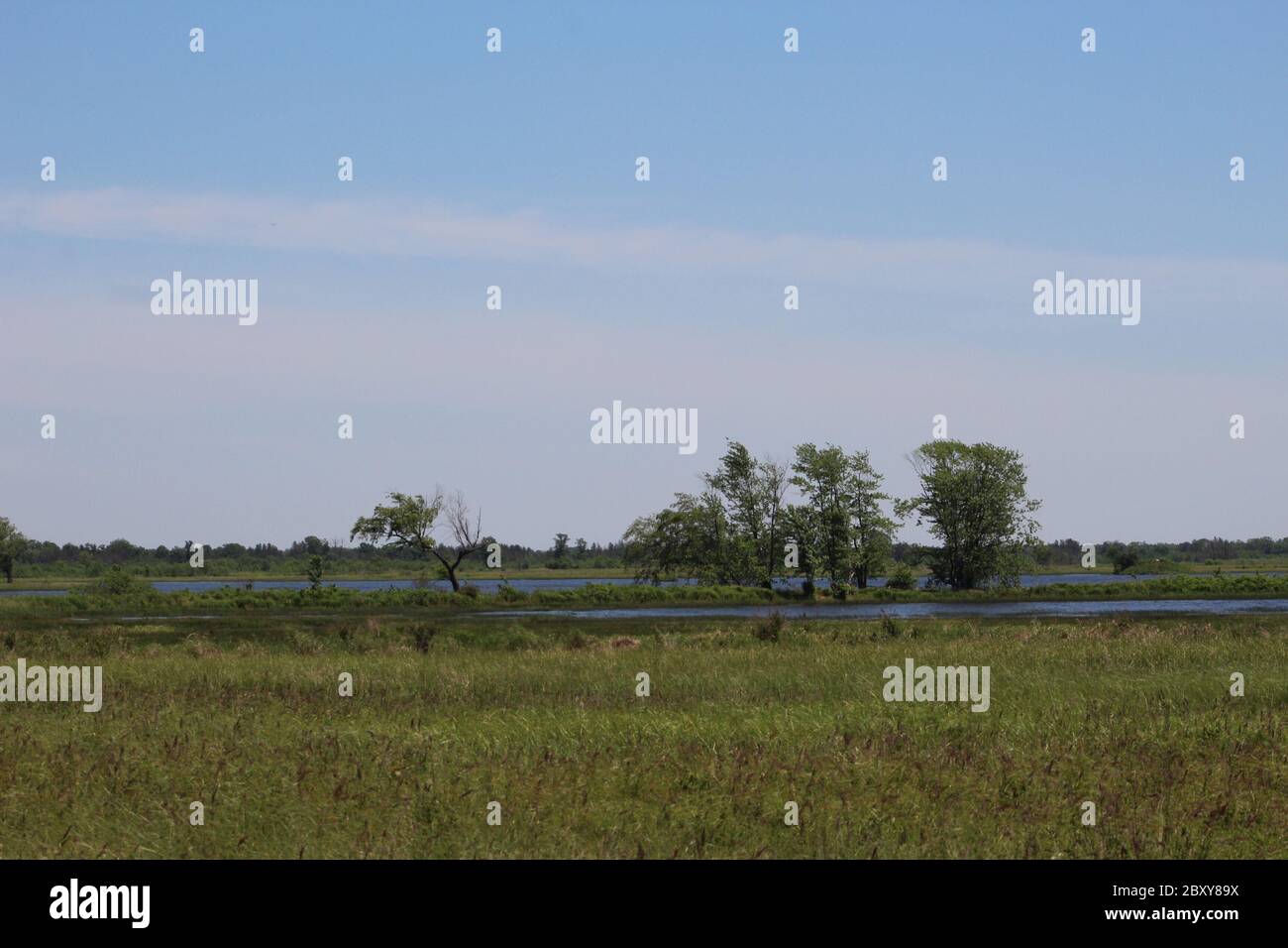 Necedah wildlife hi-res stock photography and images - Alamy