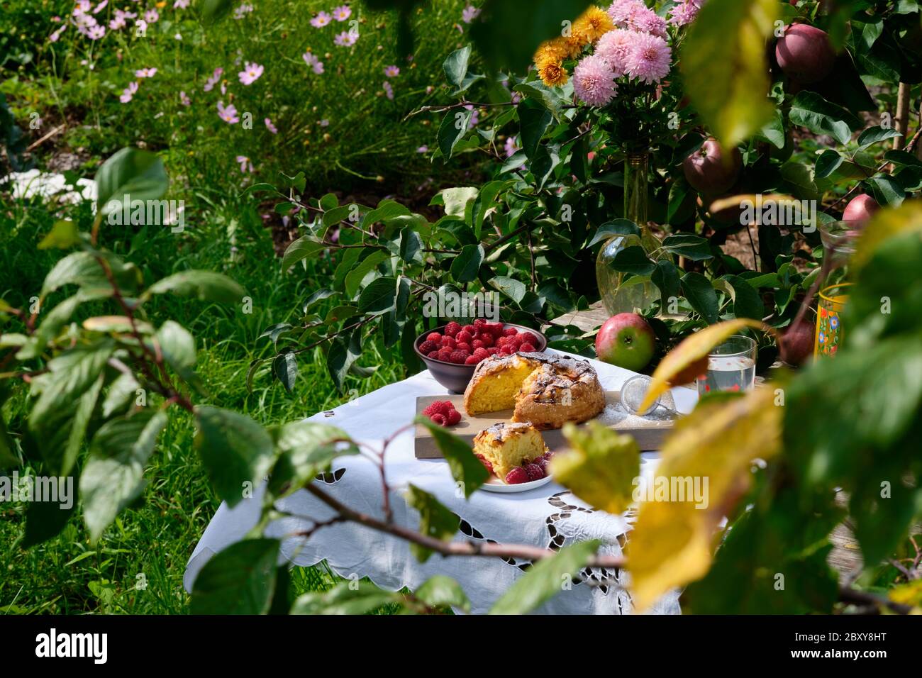 A piece cut from an apple pie lies on a plate. Rustic still life: sunny ...